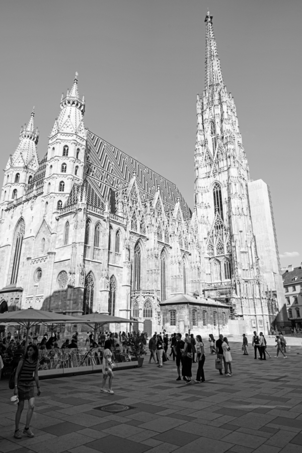 BW Saint Stephens Cathedral and Market Square by 360 Studios Wall Art