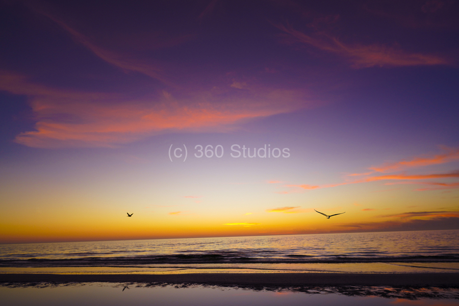 Flying Away into the Sunset - Marco Island Florida by 360 Studios Wall Art