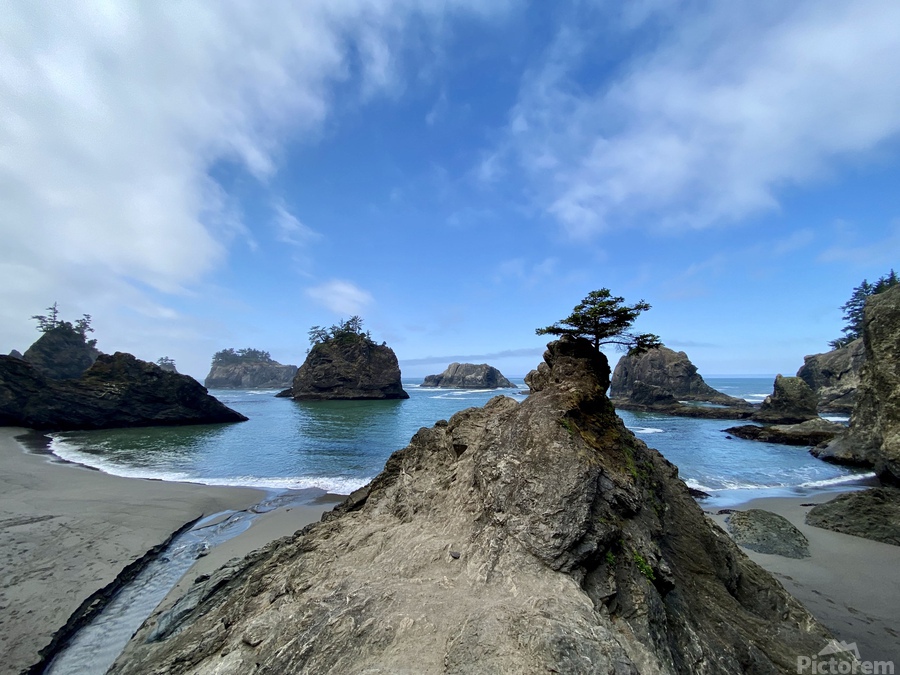 Brookings Oregon by Christina Stephan Wall Art