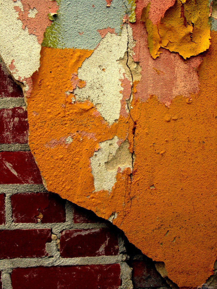 Complicated by Brett Noel Wall Art