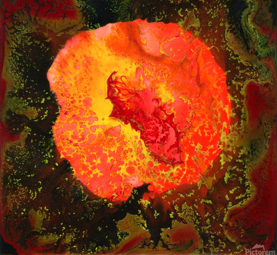 Poppy by Joseph Stoner Wall Art