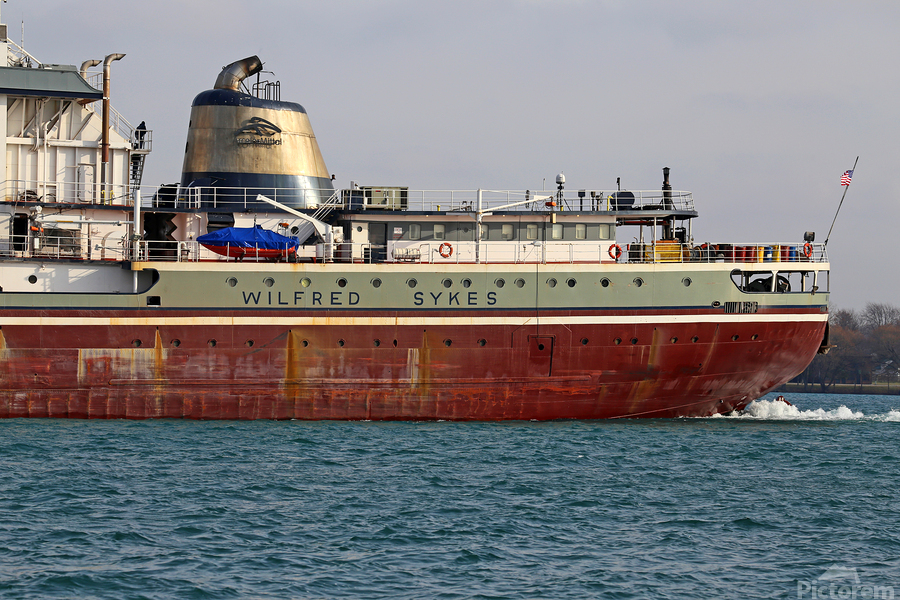 Wilfred Sykes Detail 112519 by Mary Bedy Wall Art