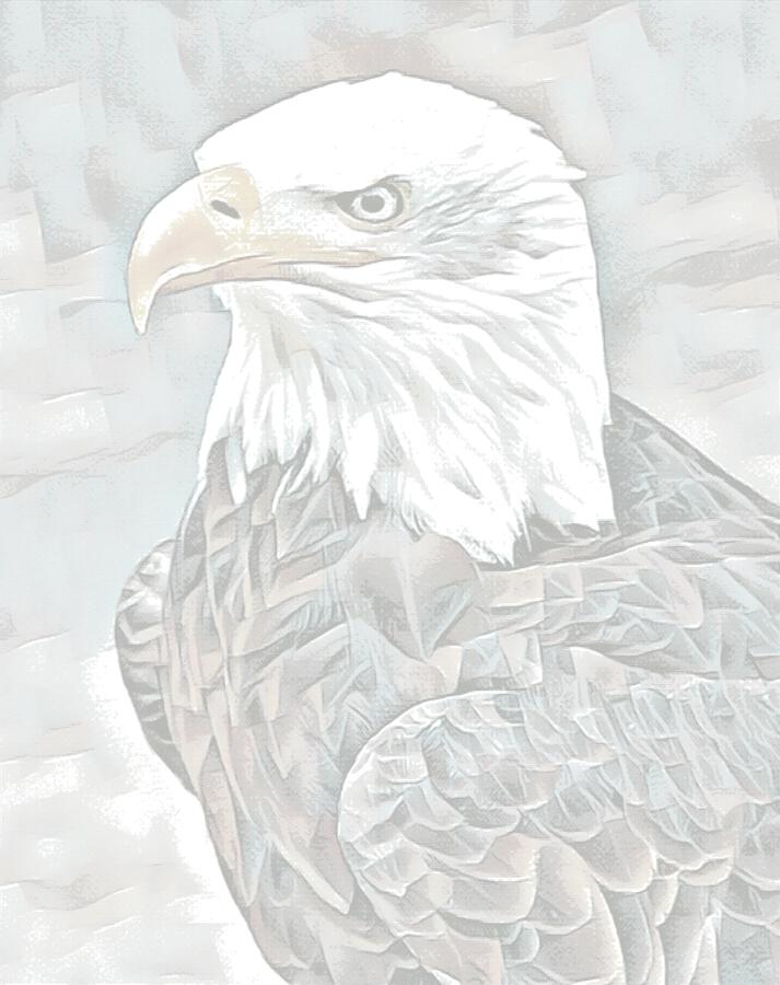 ASCII Eagle by Mccyle Khan Wall Art