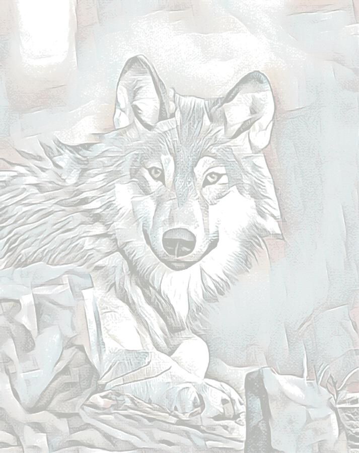 ASCII Wolf by Mccyle Khan Wall Art