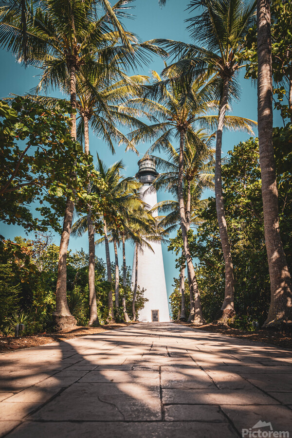 The Lighthouse Path by WeStaySocial Art Wall Art