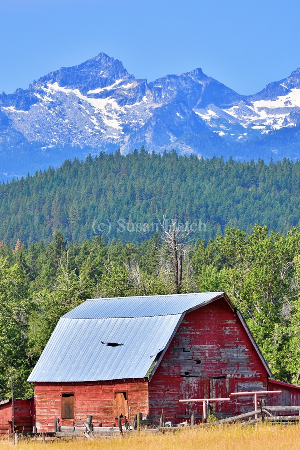 como barn by Susan Hatch Wall Art