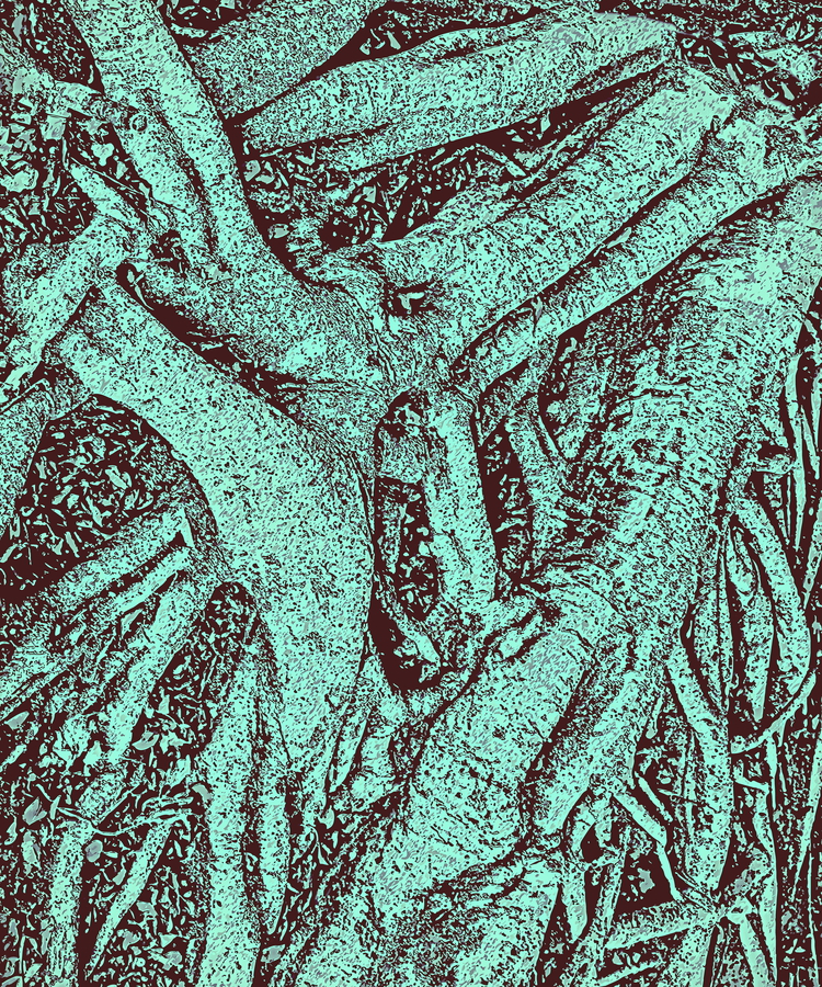 Root Concept 5 by Artevia Wall Art