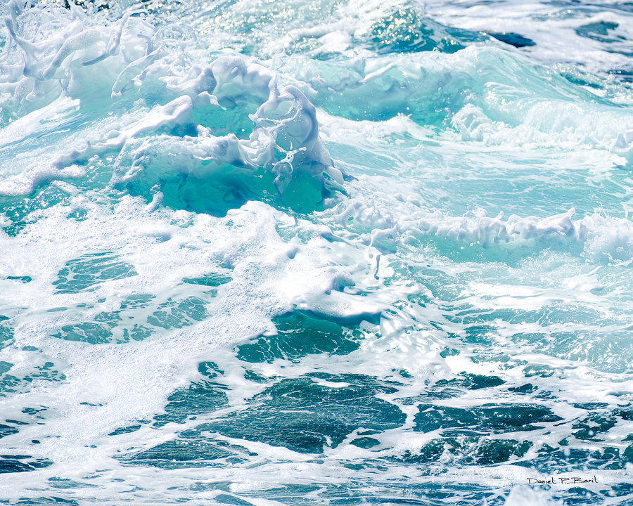 Star of the Sea r45 1 by Daniel Baril Wall Art