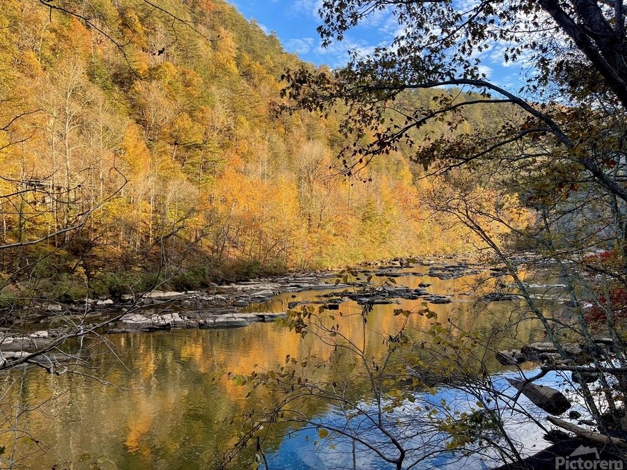 Ocoee River Fall Day by Dick Davis Wall Art