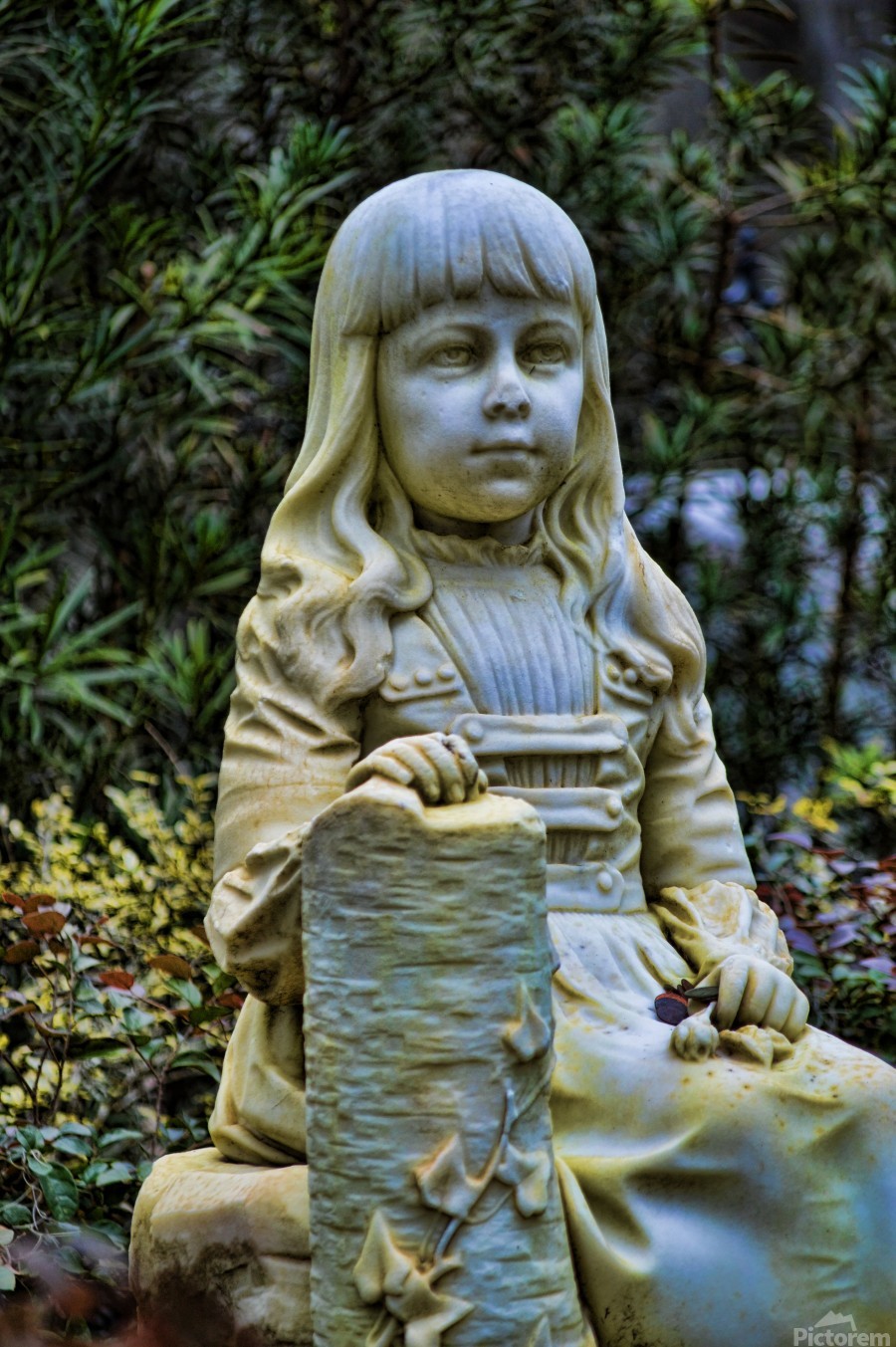 001 by Maria Dale Wall Art