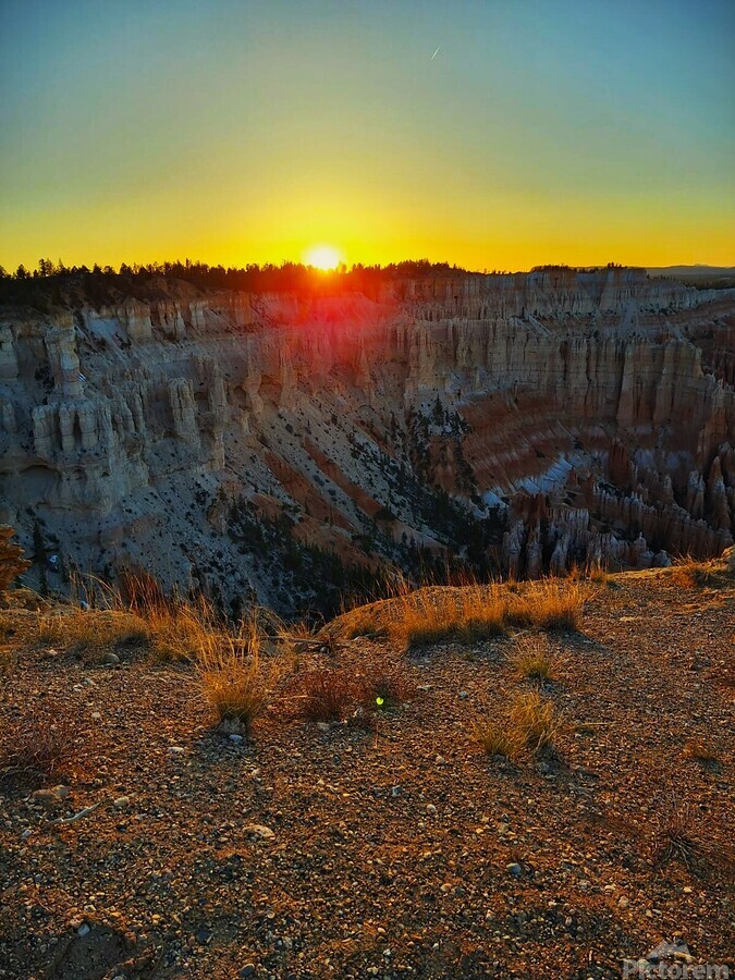 Sun Shadow by Vanwizle Wall Art