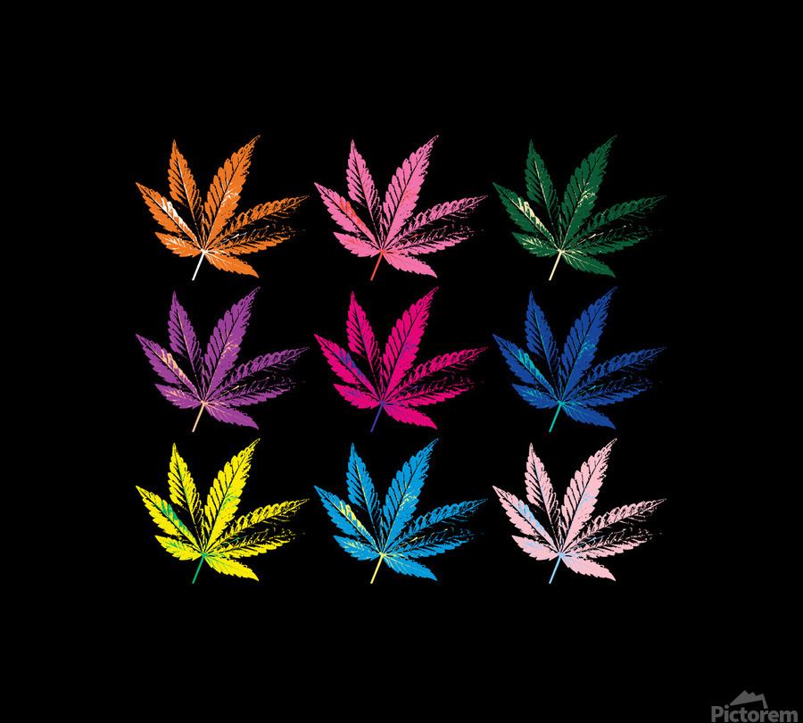 Cannabis Colors by Art by Josh Wall Art