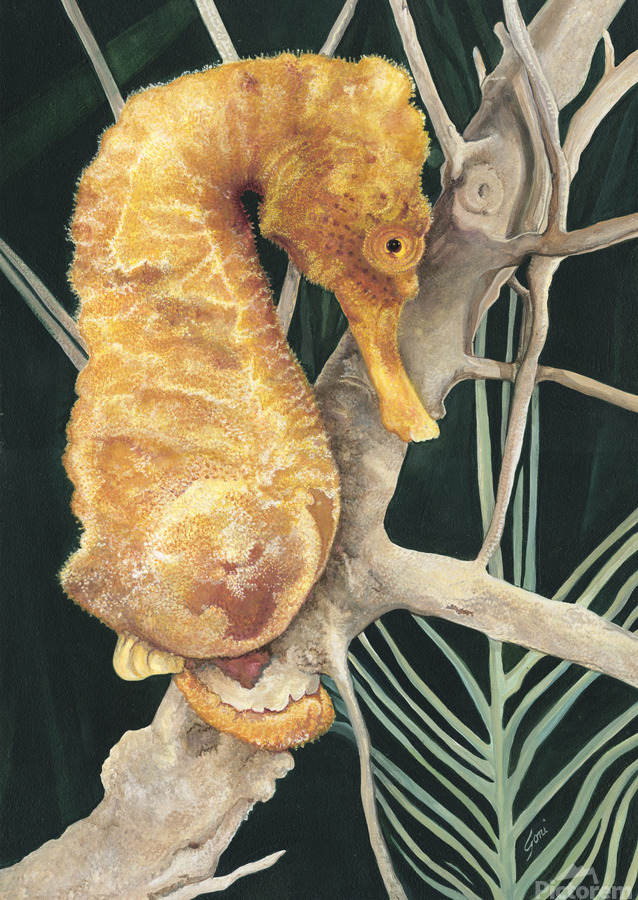 mr sea horse original by Joni German Wall Art