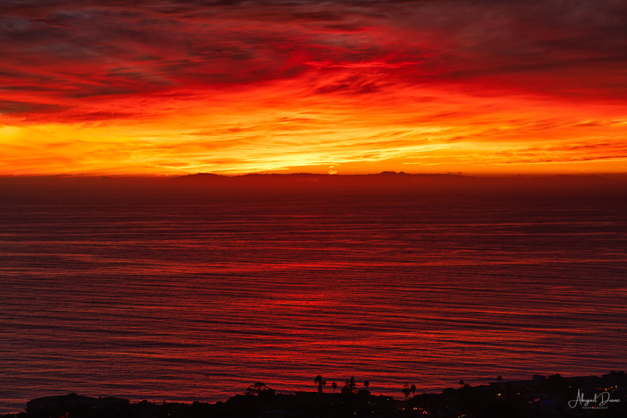 Fiery Passion Explosion by Abigail Diane Photography Wall Art