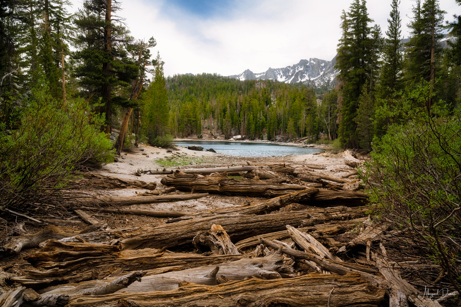 Barrett Lake Mammoth Lakes by Abigail Diane Photography Wall Art
