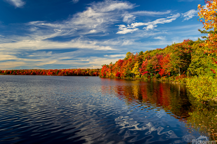Autumn In The Poconos by David C Hintz Wall Art