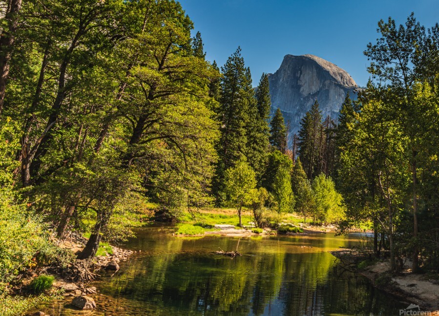 Half Dome View by David C Hintz Wall Art