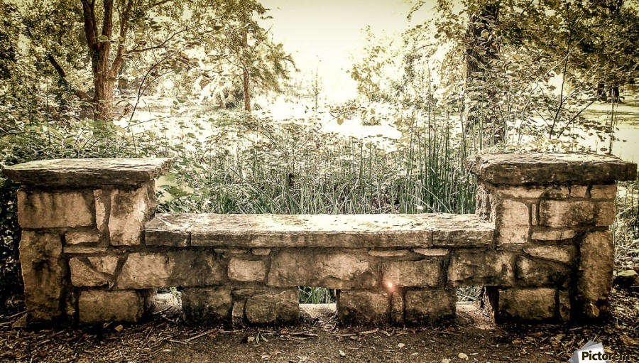 MHPBartlettArboretum 2 by Rachel Serrano Wall Art