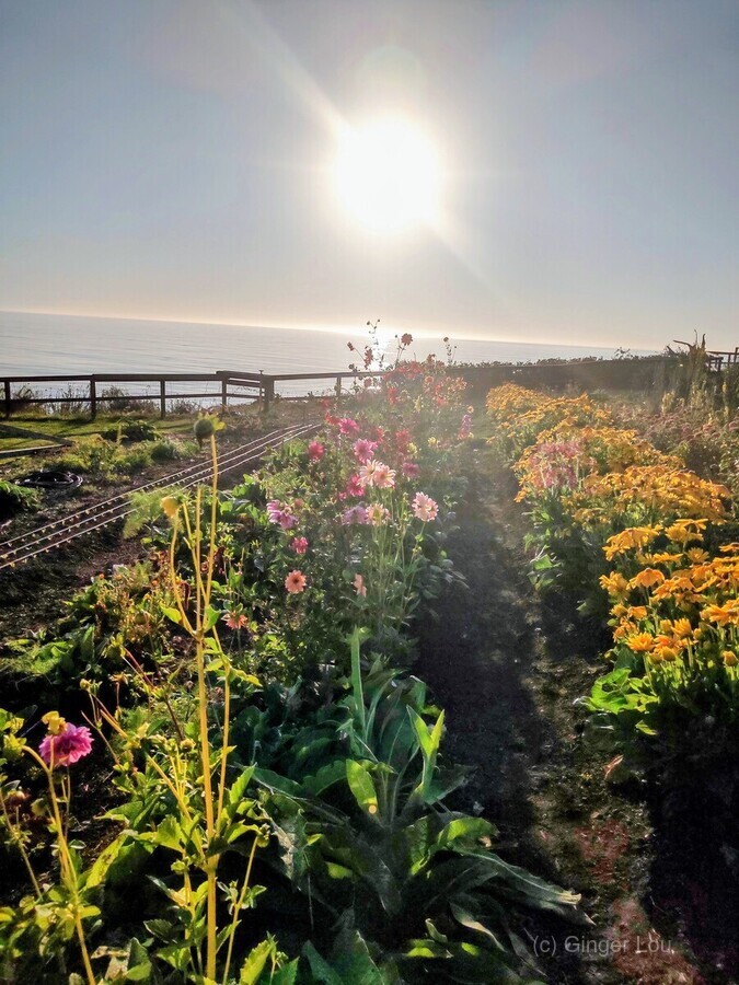 Happy Trail by Ginger Lou Wall Art