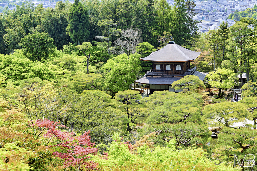 Japan. Kyoto. Ginkakuji shrine by Marco Brivio Wall Art