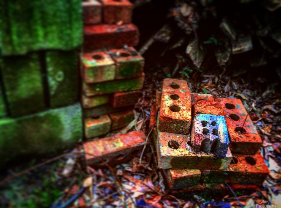 Colorful Bricks by DH Photo Concepts Wall Art