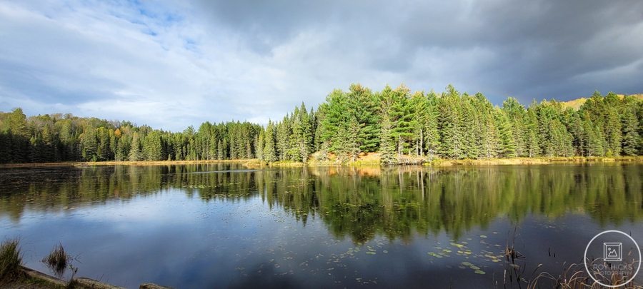 Algonquin Logging Museum trail by Roy Hicks Photography Wall Art