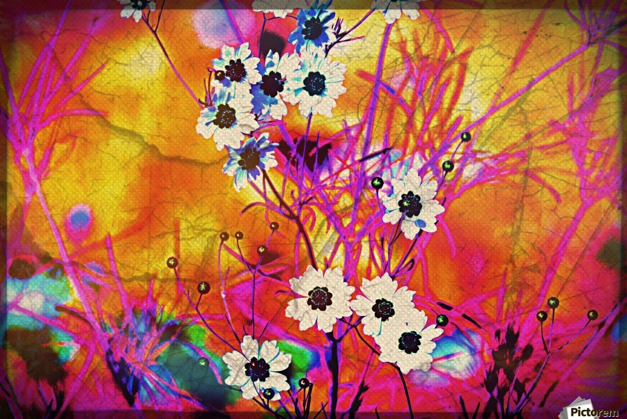 Fancy Weeds by Chazzi R Davis Wall Art
