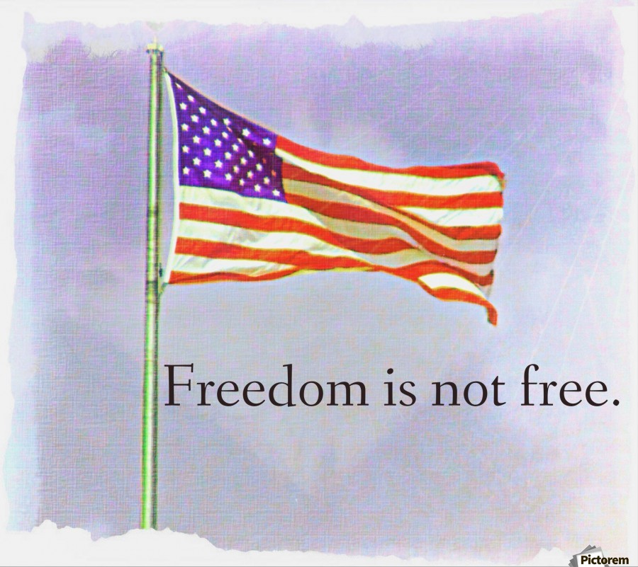 freedomIsnofree by Chazzi R Davis Wall Art
