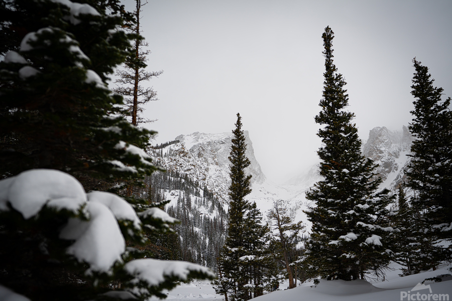 Winter Paradise by Boysie Gordon Wall Art