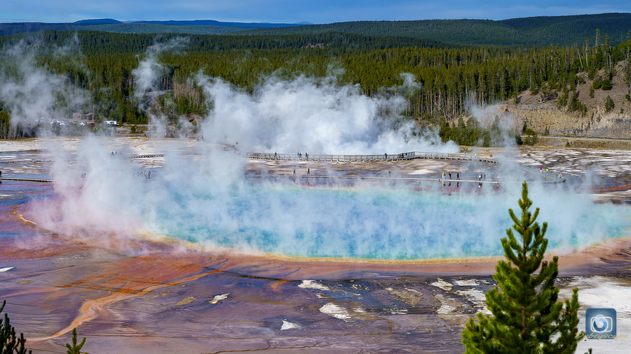 Yellowstone NP-Grand Prismatic Spring by Dubeyscape Wall Art