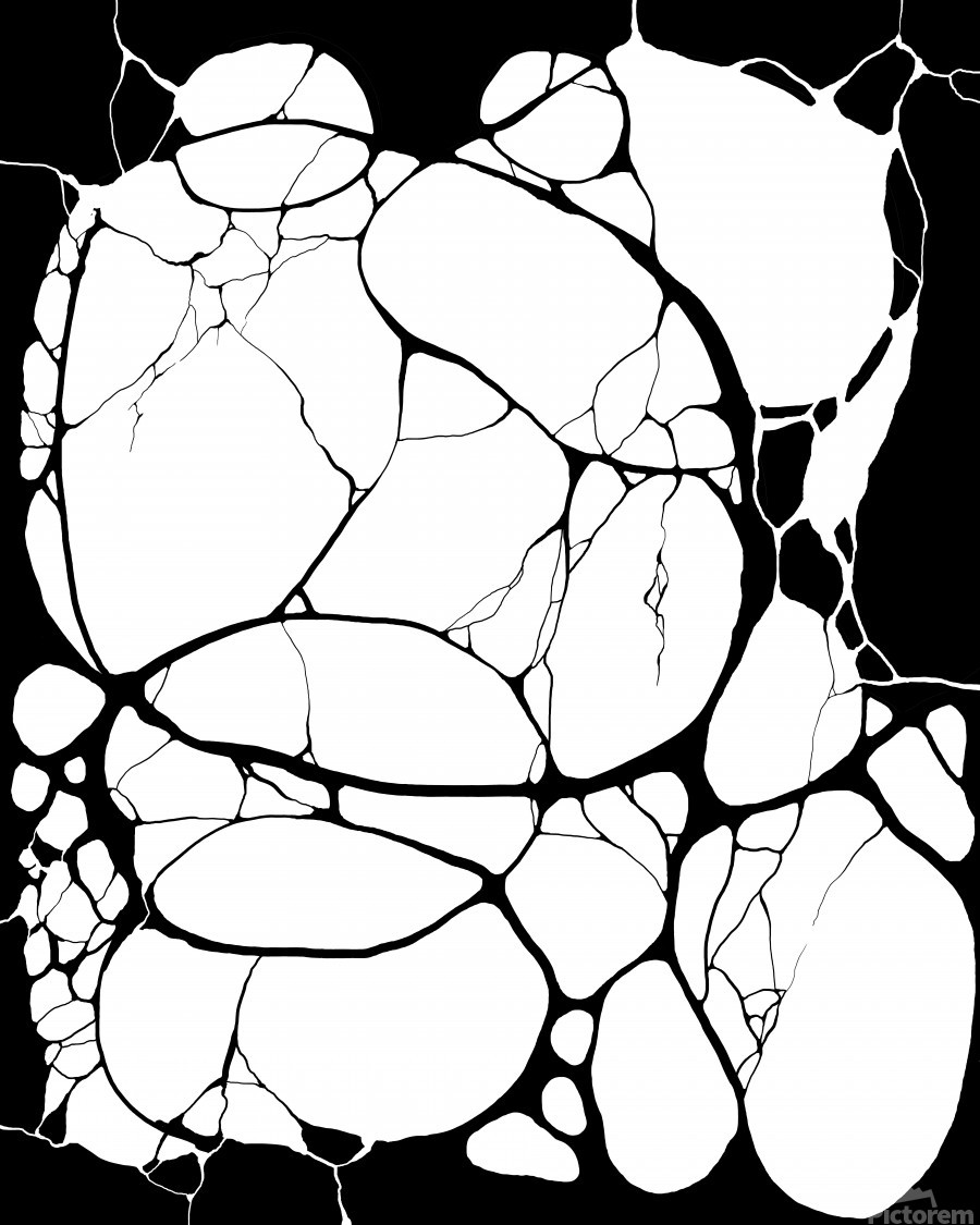 Inner World 136BW by Imre Toth Wall Art