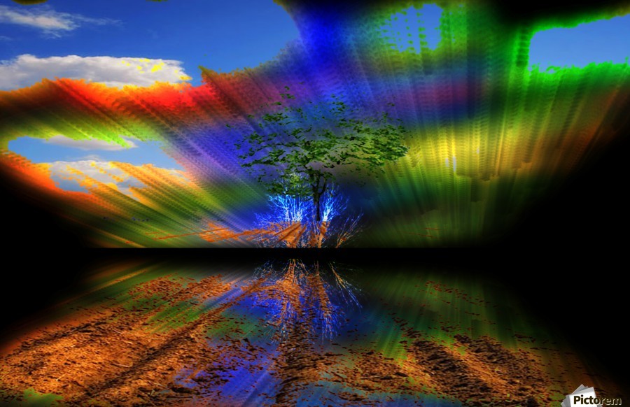 Color Above The Ground by Gloria Racine Wall Art