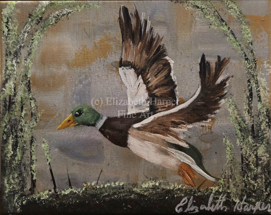 38 by Elizabeth Harper Fine Art Wall Art