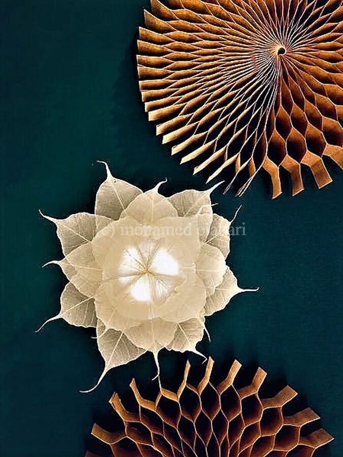 2285 by mohamed elabari Wall Art