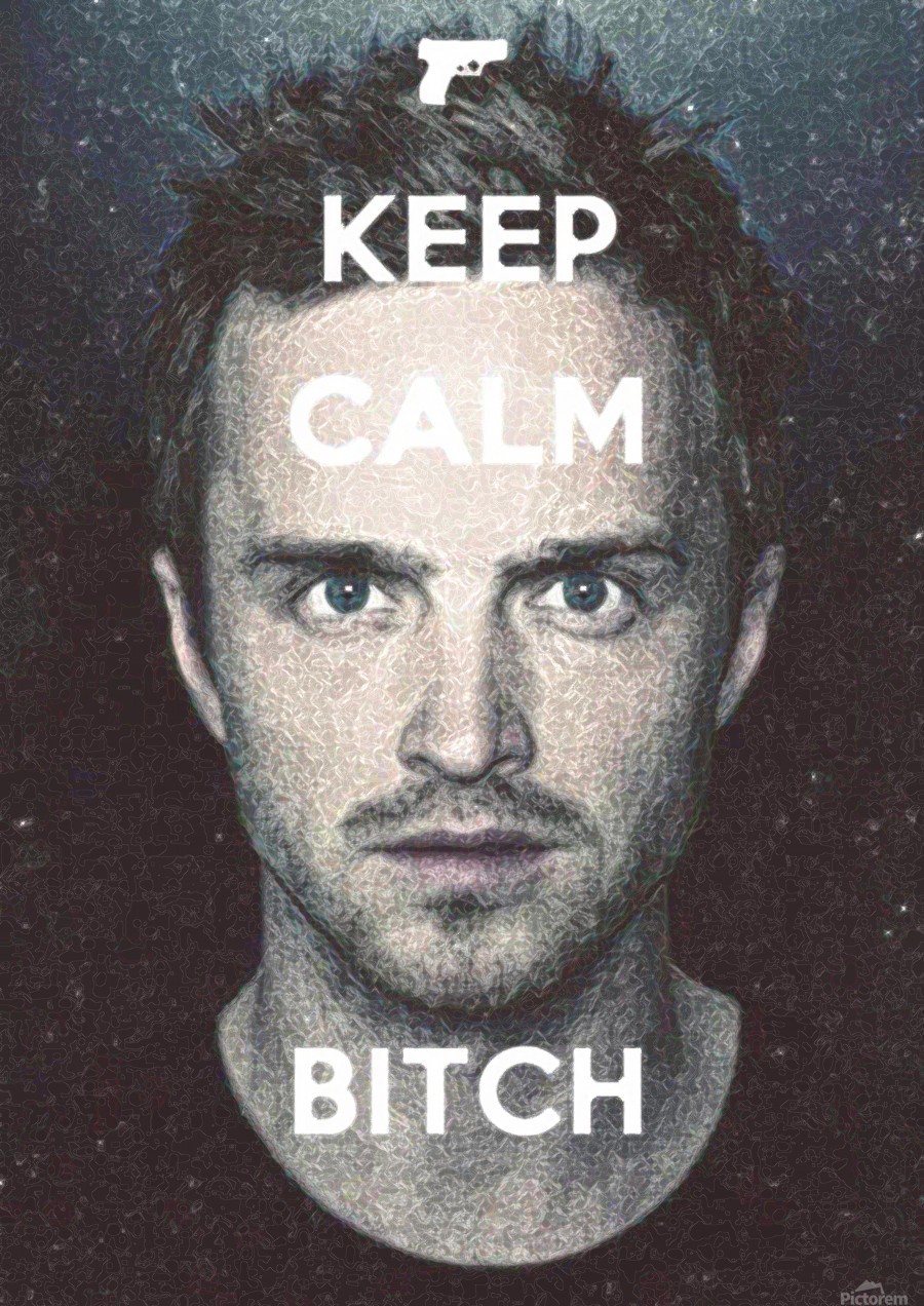 Breaking Bad Jesse by Skinuporshutup Wall Art