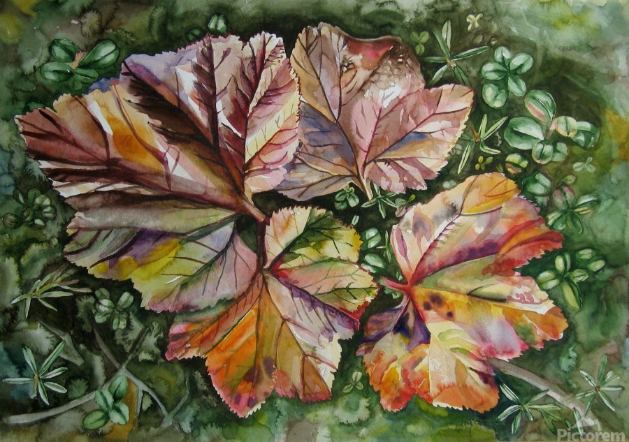 Salmonberry Watercolor by Meriam Linder Wall Art
