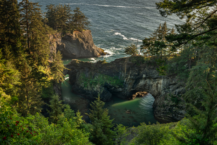 Oregon Coast - Natural Bridges by Enrico Pozzo Wall Art
