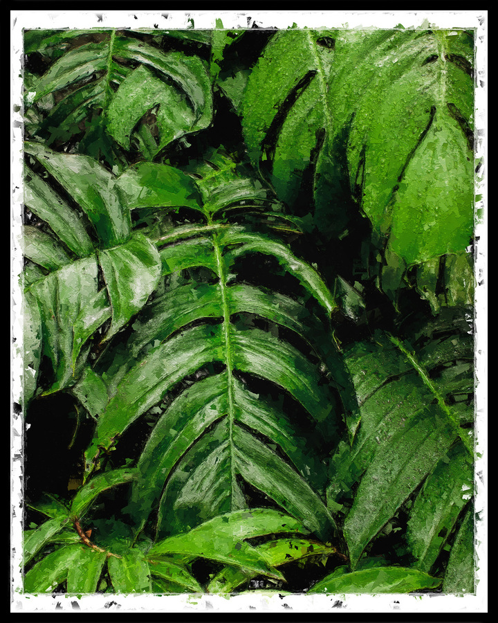 2 by Omar Ibrahim Eid Wall Art