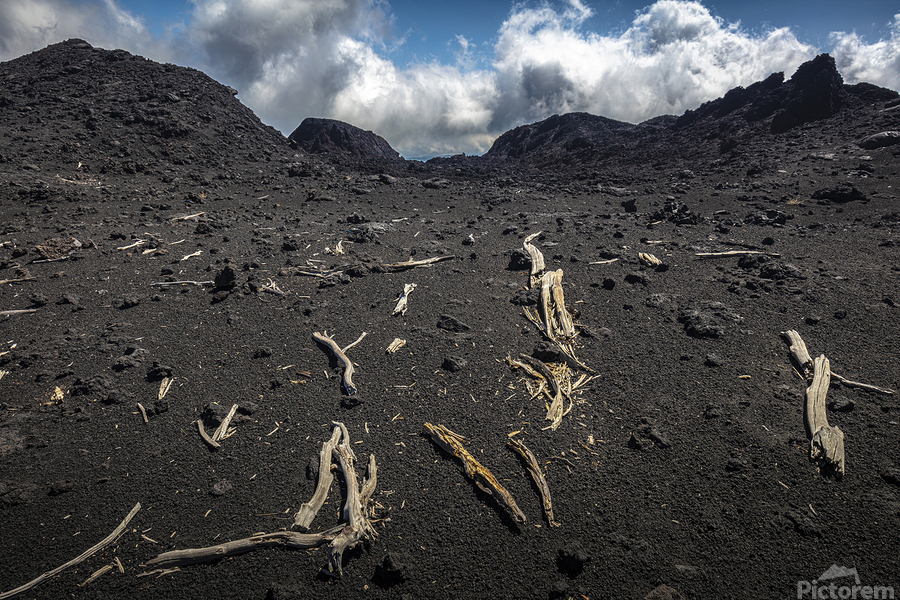 etna in Sicily by Gualtiero Boffi Wall Art