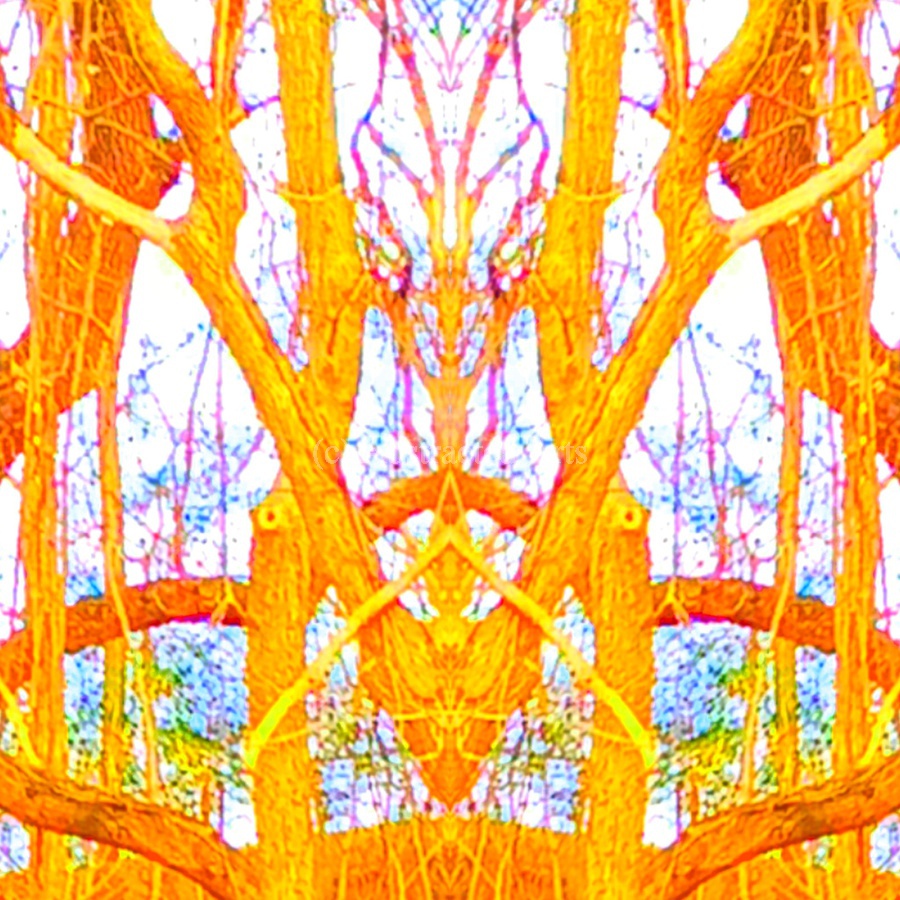 Spydee by Abstracted Arts Wall Art