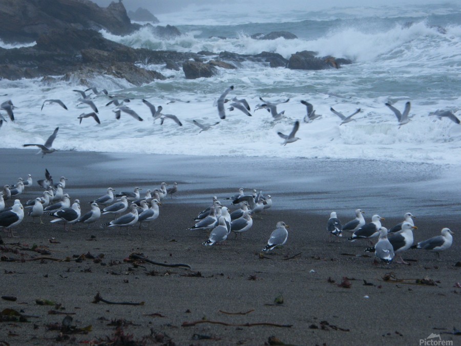 Rough Seas by Thomas Whitmore Wall Art