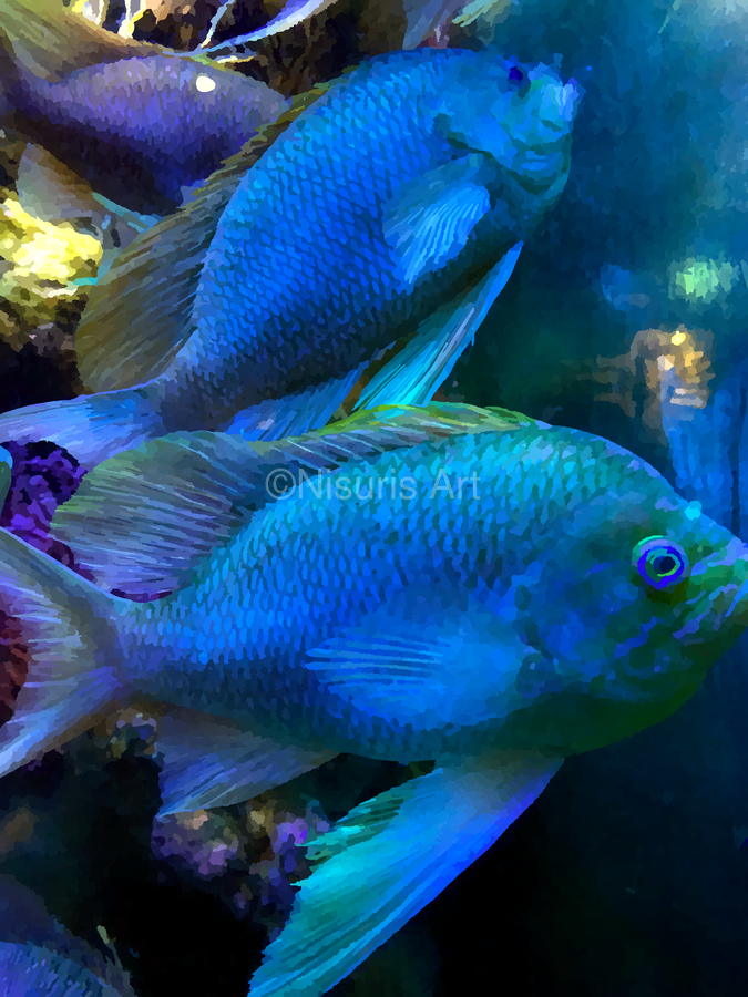 Blue Fish Aesthetic by Nisuris Art Wall Art