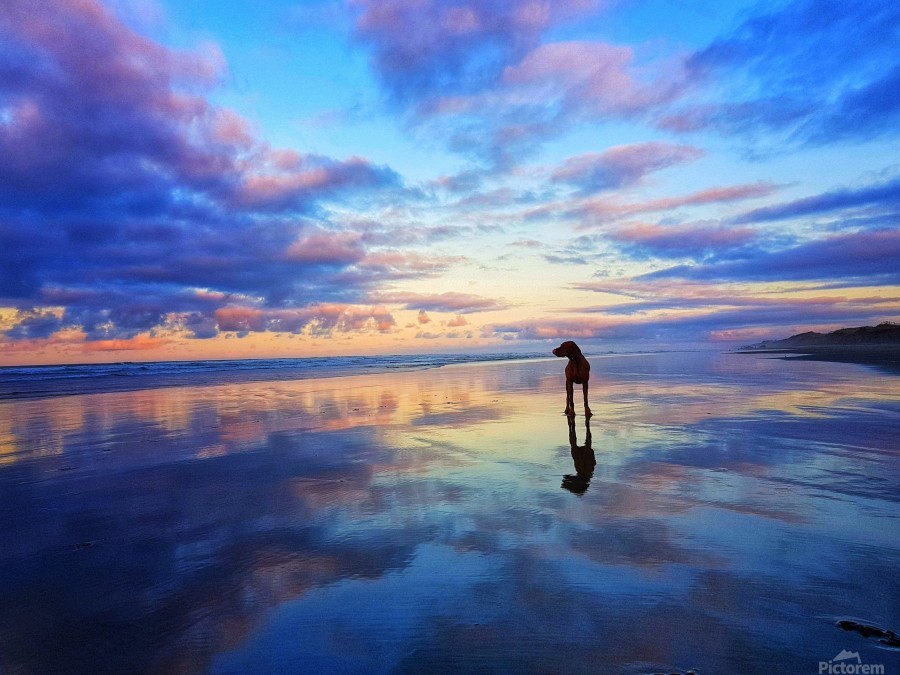 Sniff with all the colours of the wind. by Nor Budzinski Wall Art