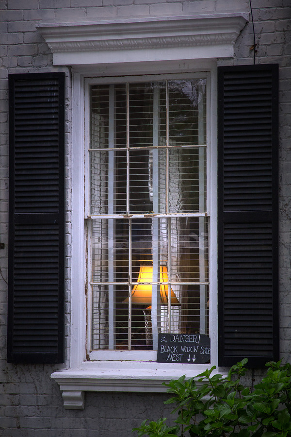 Window of the Black Widow by Visual Voyages Fine Art Wall Art