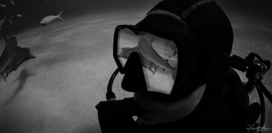 Panorex by Hanan Atia Wall Art