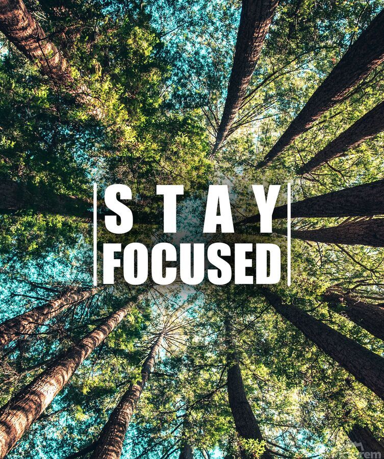 Stay Focused focus success inspiration motivation by Nelly77 Wall Art