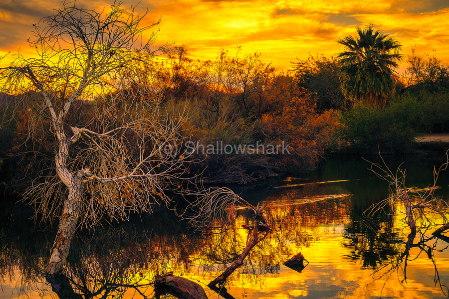 Reflections of Fire: Sunset Over Yuma Lakes AZ by Shallowshark Wall Art