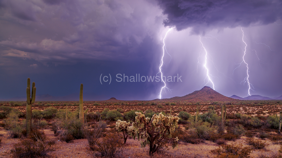 Sonoran Desert Thunderstorm: Lightning Strikes in Nature’s Fury by ...