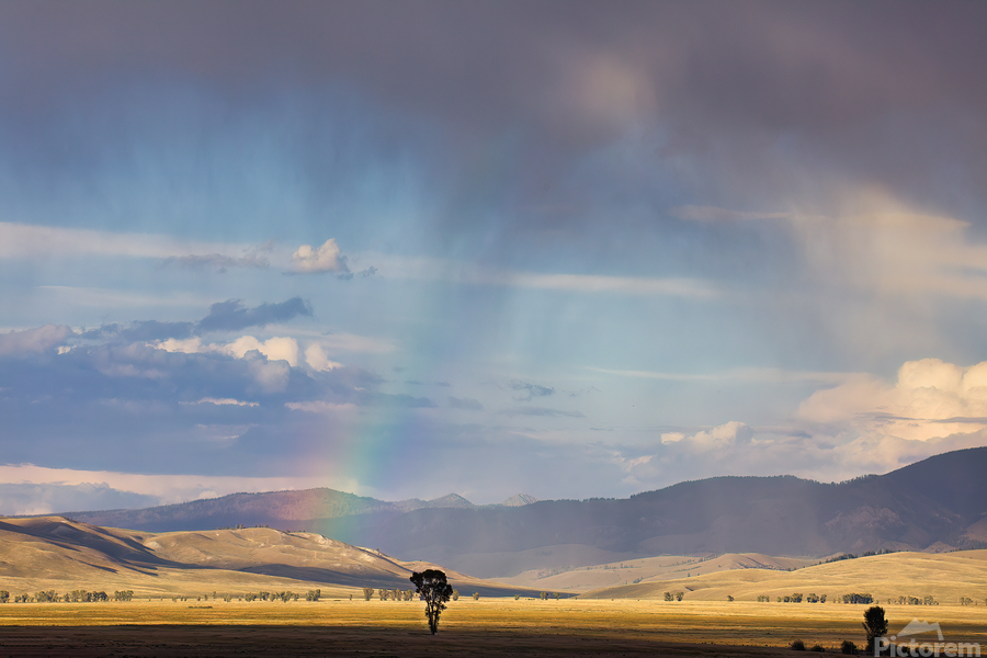 Jackson Hole Rainbow by ISABELLA SMEDLEY Wall Art