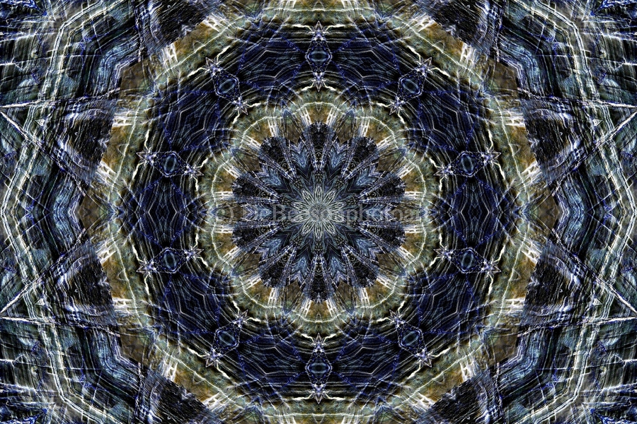 RA018 by DeBeesonphotoart Wall Art